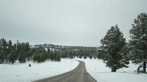 겨울 숲에 눈 자동차 운전 겨울 유타 미국에서 도로 여행 자연이 간이 한 소나무 앞 유리를 통해 자동차에서 보기 크리스마스 휴가 브라이스 캐년12 월 여행 숲으로의 에코