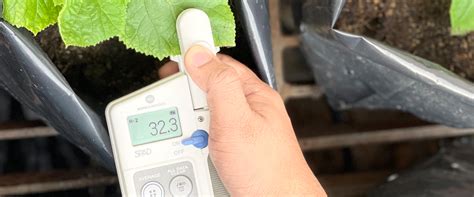 Paulownia Greenfeed® Slow Release Fertilizer