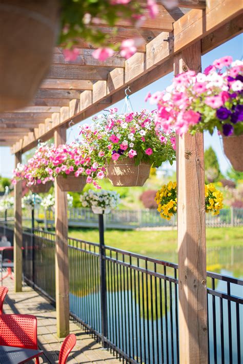 Heemans Heemans Added A New Photo