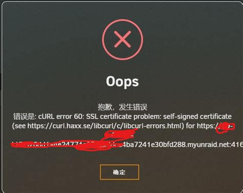 Unraid Connect提示ssl证书有问题 Chinese 简体中文 Unraid