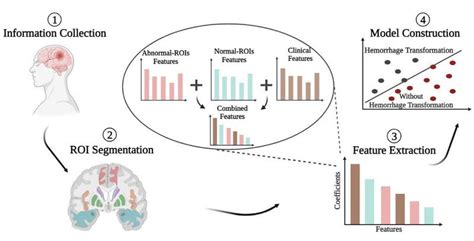 Brain Sciences Prediction Model Of Hemorrhage Transformation In