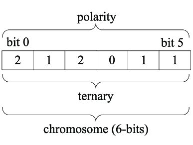 Chromosome Encoding For Example Download Scientific Diagram