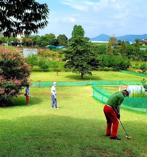 ‘시니어 스포츠 대세로 떠오른 ‘파크골프 과천시니어신문