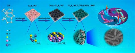 Schematic Illustration Of Synthesis Procedures Of Ni 3 S 2 Ni X P Y Download Scientific