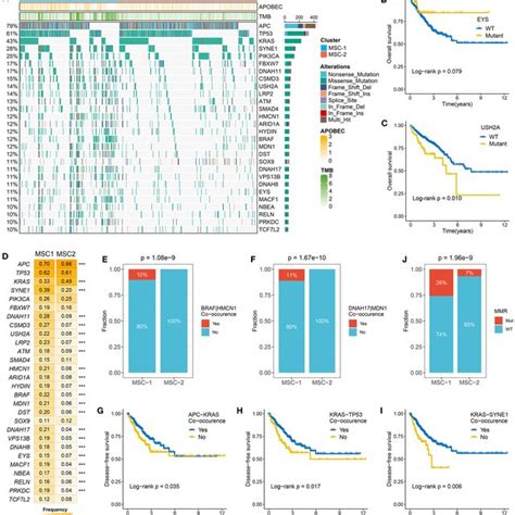 The Mutation Driven Genes In Colorectal Cancer Crc A Mutational