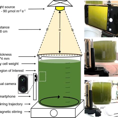 Data Workflow To Predict The Concentration Of Microalgae Using