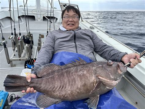 マハタ 12kg 夏丸