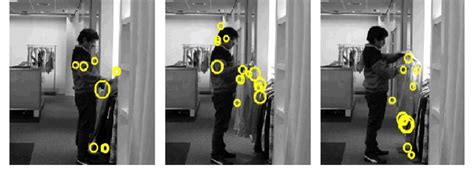 Stip Features Detection Download Scientific Diagram