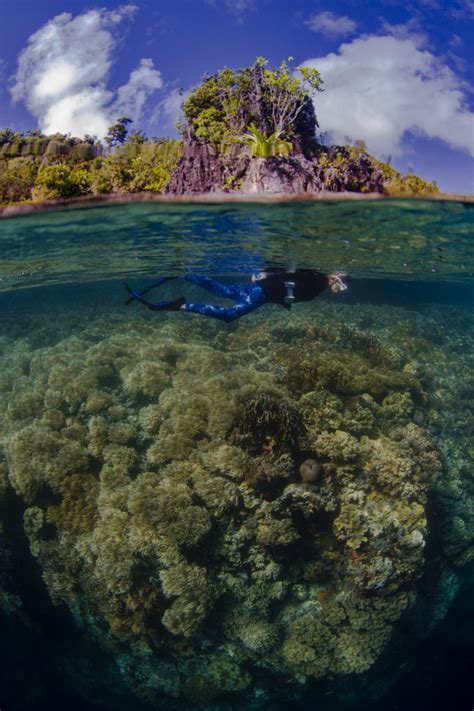 Misool And Wakatobi Snorkel Safari