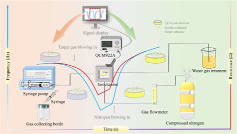 Schematic Diagram Of Detection Based On Functionalized Qcm Sensor Chip Download Scientific