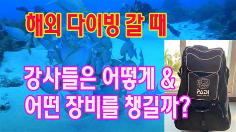 해외 다이빙 갈 때 빼먹는 것 없이 장비 준비해갈 수 있는 팁을 알려드립니다 Youtube
