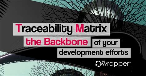 Traceability Matrix How To Find Out Business Software Healthcare Organizations