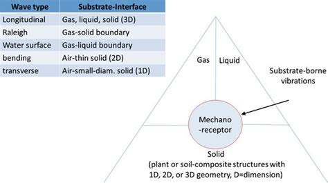 Effects Of Substrate Structure And Geometry On The Types Of Download Scientific Diagram