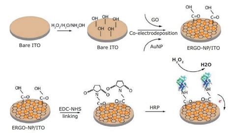 Functionalized Graphene Oxide Properties And Applications