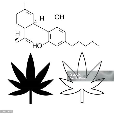 칸 나비 디올 아이콘 세트 Cbd 대마초 치료 잡초 담배 마리화나 방울 오일 잎 약물 분리 기호 법적 녹색 증기 Cbd 오일 Cbd 긴장을 풀다 마약 의료 아이콘 싹 히스