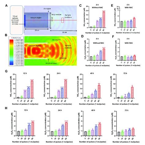 The Electric Field Profile And Reactive Species Inside The Medium After Download Scientific
