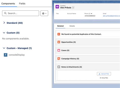 How To Add The Pendula Console Component To Salesforce Record Pages Pendula For Enterprise