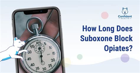 How Long Does Suboxone Block Opiates In Your Brain