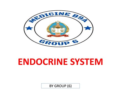 Endocrine System Group6 Pptx
