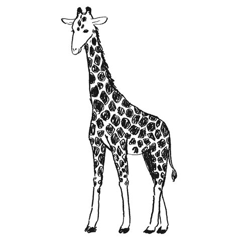 キリンのイラスト（png） えんぴつ素材