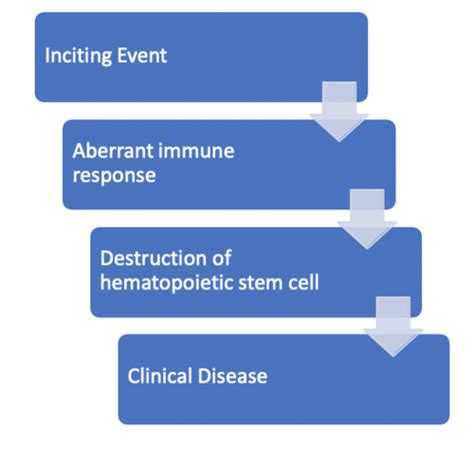Normocytic Anemia Flashcards Quizlet