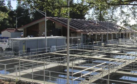 Online Thm Analyzer Aids Thm Mitigation Strategies For City Of Santa