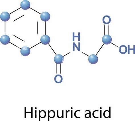 Hippuric Acid At ₹ 850 Kg 495 69 2 In Mumbai Id 2852960347973