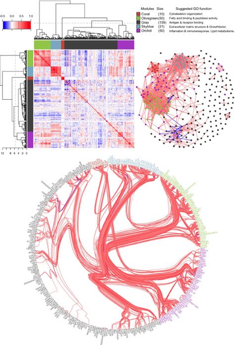 The Trace Of The Log Likelihood For Three Different Starting Values Of Download Scientific