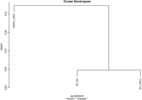 Microarray Based Transcriptome Analysis Dendrogram Generated From The Download Scientific