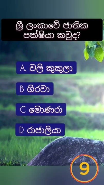 ජාතික පක්ෂියා Shorts🙋🙋🙋🤤🤤🤤 Youtube