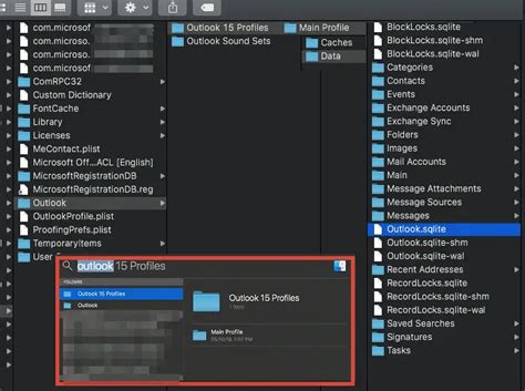 outlook can t upgrade your database in mac