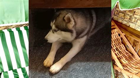 Rudresh S On Linkedin Nature Has Given Enough Enough For Our Need But Not Enough For Our Greed