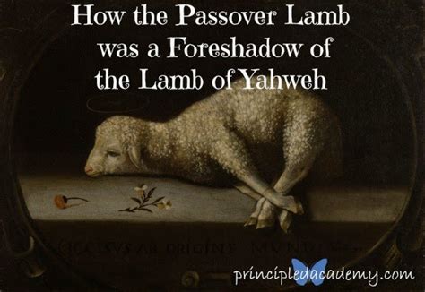 Principle Approach Bible Principles Passover Jesus The Lamb Of God