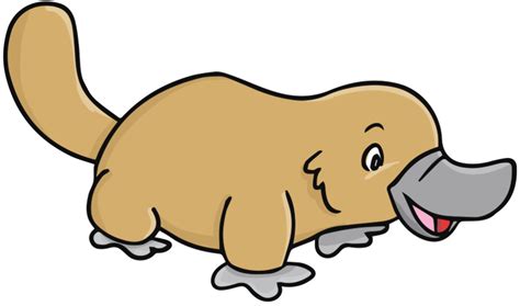 Platypus Cartoon