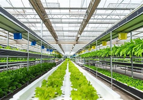 Metwarebio Metabolomics Test Detection Analysis Research Service Company Provider