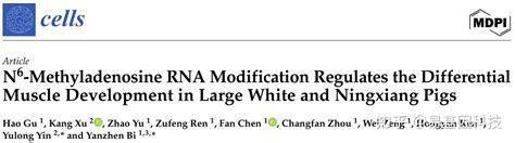 易基因： Merip Seq Rna Seq揭示不同品种猪肌肉发育的m6a Rna甲基化差异｜育种研究 知乎