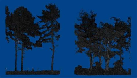 Can Restoration Of Fire Dependent Ecosystems Reduce Ticks And Tick Borne Disease Prevalence In