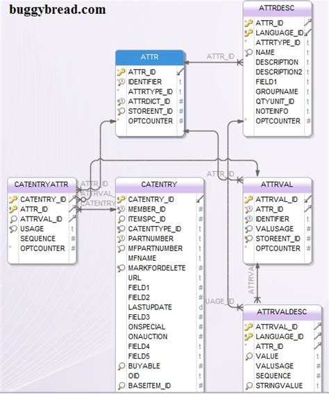 Ibm Wcs Websphere Commerce Sqls To Retrieve Attributes