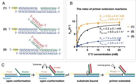 Figures And Data In Non Enzymatic Primer Extension With Strand