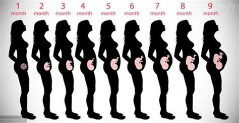 น้ำหนักแม่ตั้งครรภ์ ตลอด 9 เดือนควรขึ้นกี่กิโลกรัม