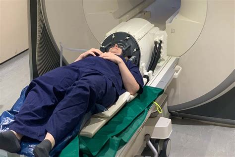 Glowing Biological Quantum Sensor Could Track How Cells Form New Scientist