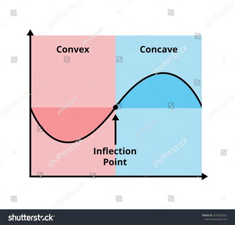 Vector Educational Graph Scheme Convex Function Stock Vector Royalty