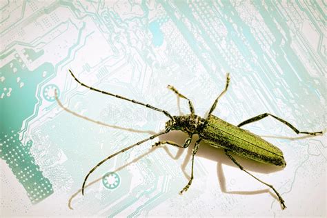 Concept Bugs Cyberthreatment Stock Photo Image Of Industry