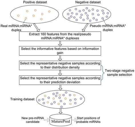 construction of svm prediction model based on feature selection and