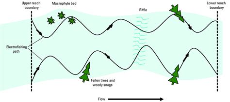 Double Pass Zig Zag Sampling Technique Used In Boat Electrofishing For Download Scientific
