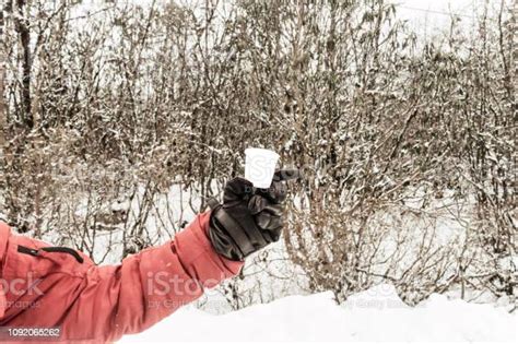 겨울 옷에서 여자 관광 차와 뜨거운 커피 컵을 보여주는의 컵을 보유 하고있다 눈에 덮여 배경에 산과 숲 행복 한 순간을 즐기는 겨울 의류 여자 신체 부분 12월에 대한 스톡