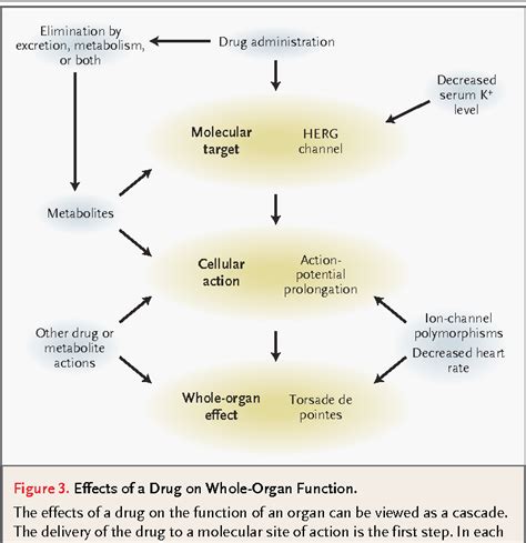 Figure 3 From Drug Induced Prolongation Of The Qt Interval Semantic