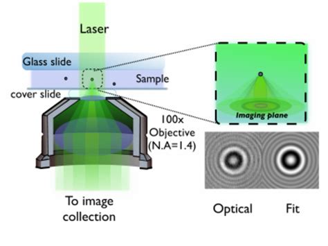 In Line Holographic Video Microscope A Collimated Laser Beam Download Scientific Diagram