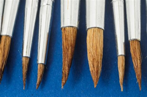 Premium Photo New Wooden Different Paintbrush Texture