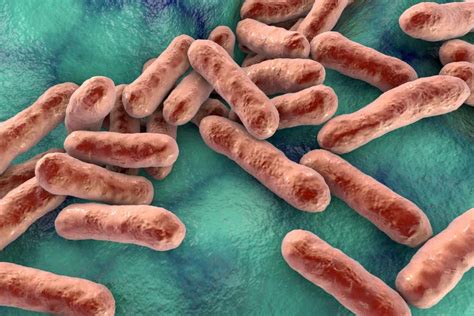 Acne Causing Bacteria Can Treat Dandruff By Resetting Scalp Microbiome